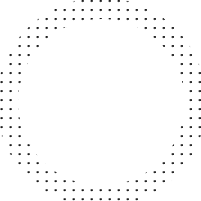 About Us - Pure Light Trading Est.