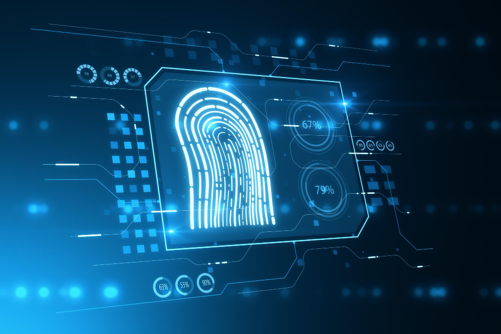 Home - Pure Light Trading Est.