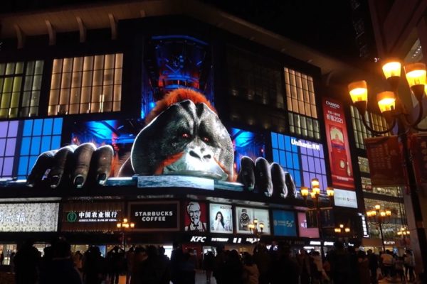 Home - Pure Light Trading Est.